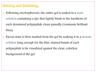 Protein isolation and quantification | PPTX