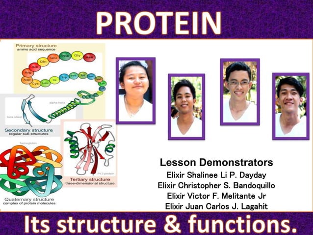 Protein; its functions | PPTX | Nutrition | Healthy Living