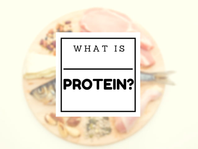 What is Protein? | PDF