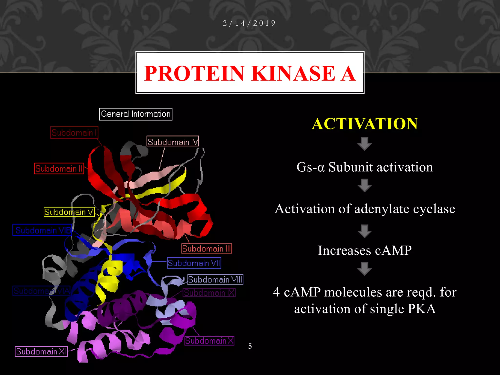 Protein kinases | PPTX