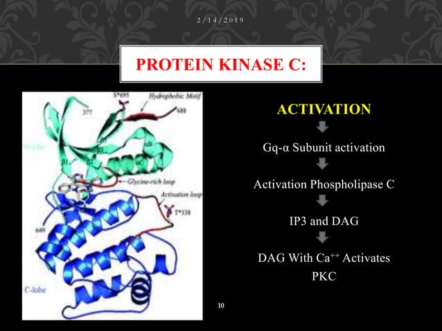 Protein kinases | PPTX | Endocrine and Metabolic Diseases | Diseases ...