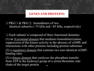 Protein kinases | PPTX