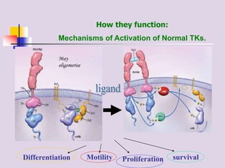Protein kinases in pathology.ppt