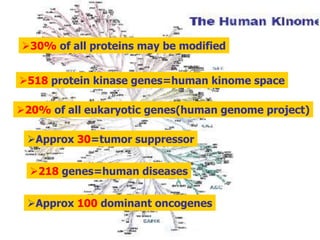 Protein kinases in pathology.ppt
