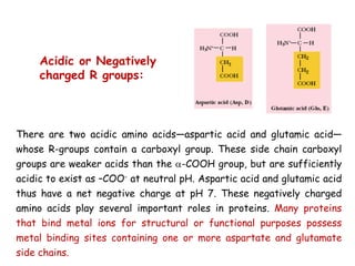 Protein Introduction | PPT