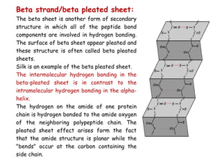 Protein Introduction | PPT