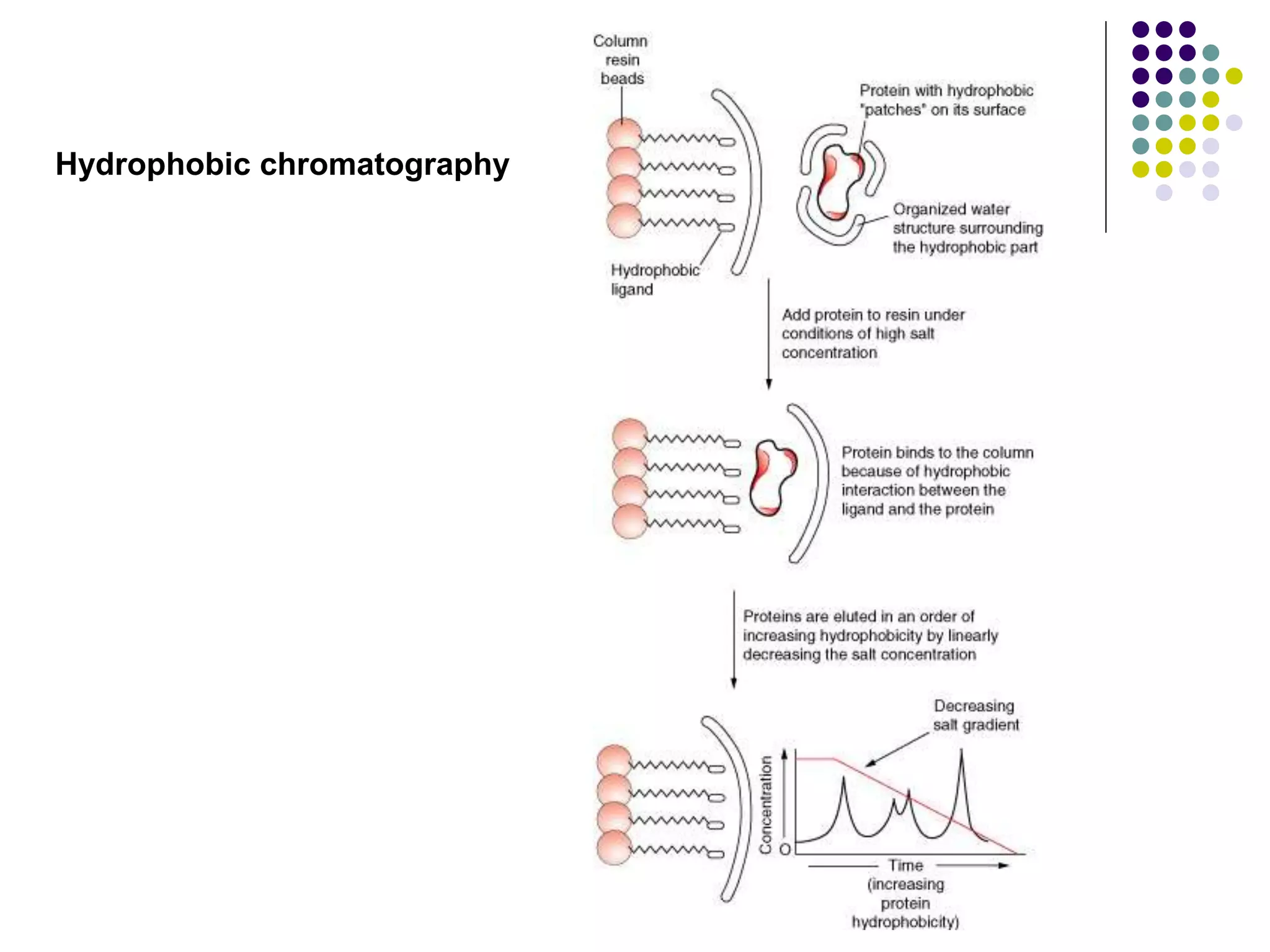 Protein lecture material.ppt