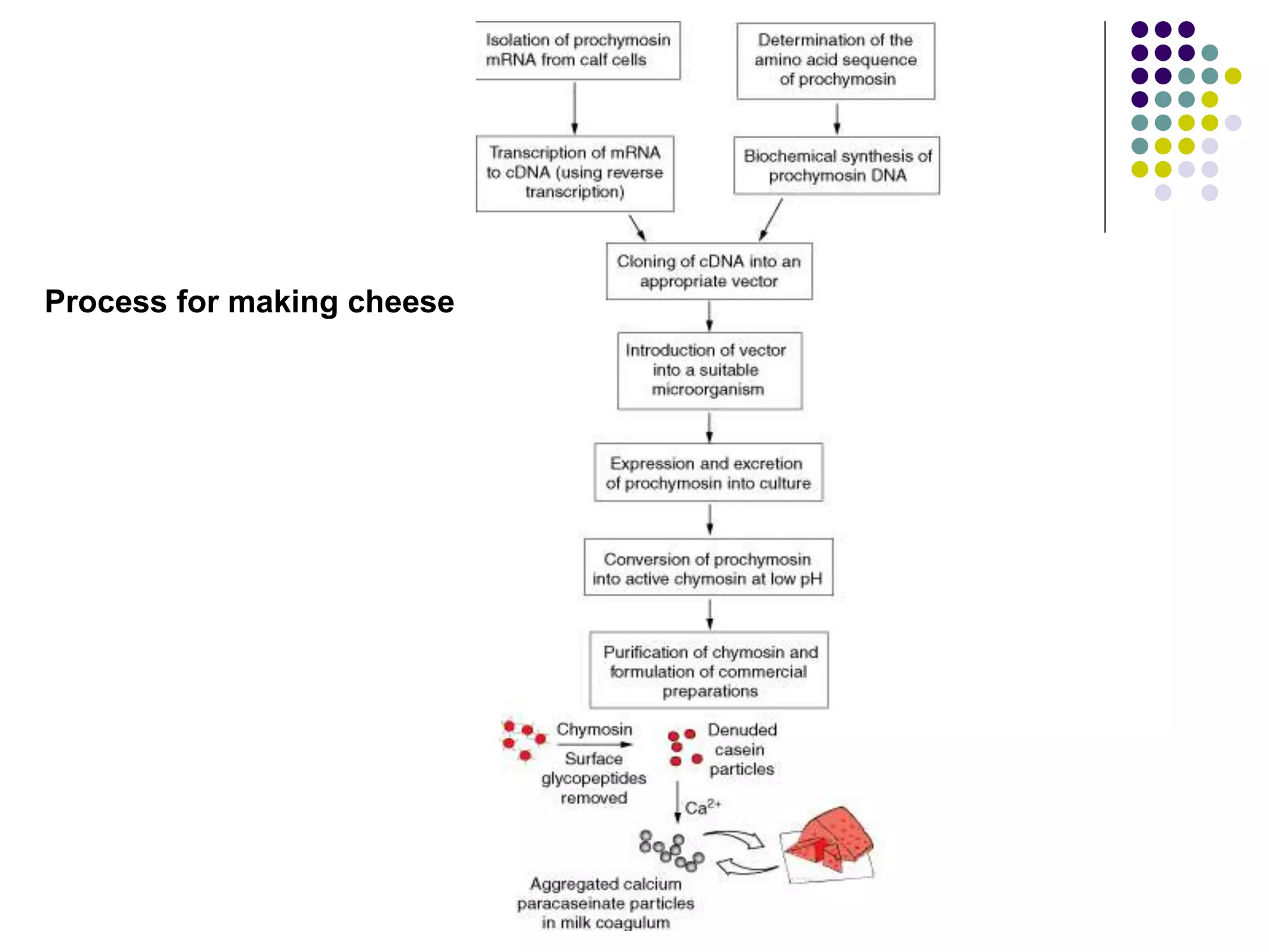 Protein lecture material.ppt
