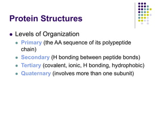 Protein lecture material.ppt