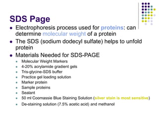 Protein lecture material.ppt