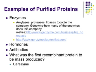 Protein lecture material.ppt