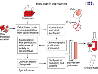 Protein lecture material.ppt