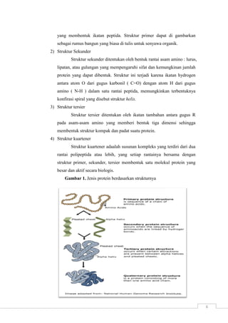 Protein dan Lemak | PDF