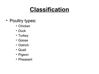 Protein; meat | PPT