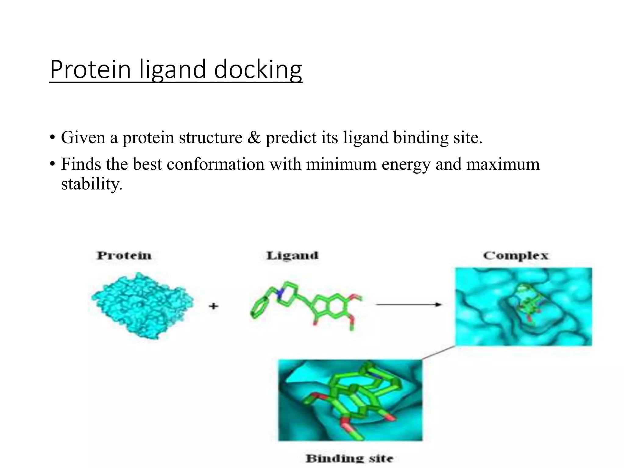 Protein ligand docking | PPTX