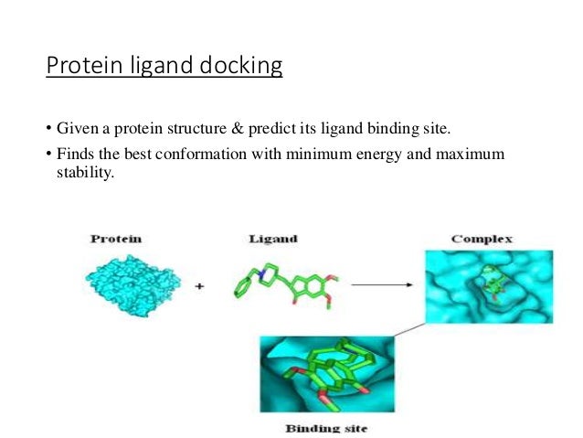 Protein ligand docking