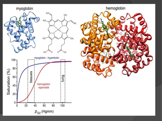 Protein ligand interaction 1 | PPTX