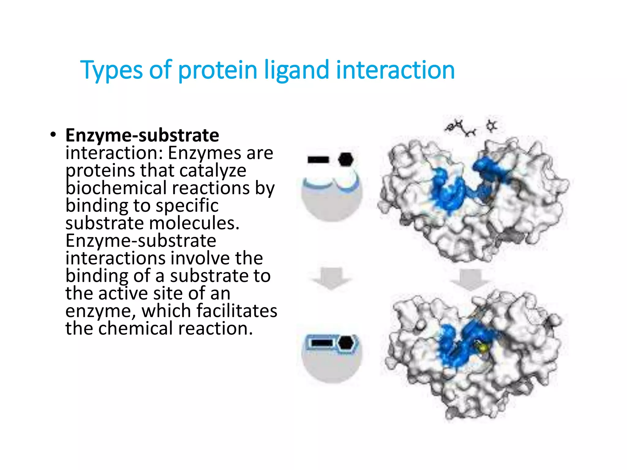 protein ligand interaction | PDF