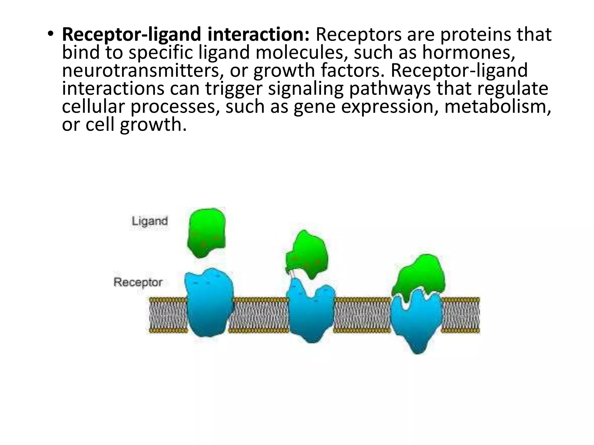 protein ligand interaction | PDF