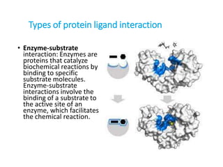 protein ligand interaction | PDF