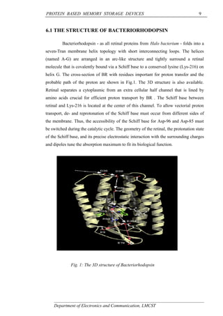 Protein memory(seminar report) | DOC | Data Storage and Warehousing ...