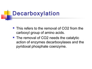 Protein metabolism | PPT