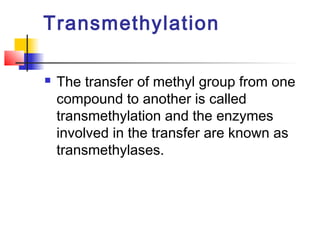 Protein metabolism | PPT