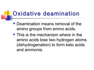 Protein metabolism | PPT