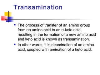 Protein metabolism | PPT