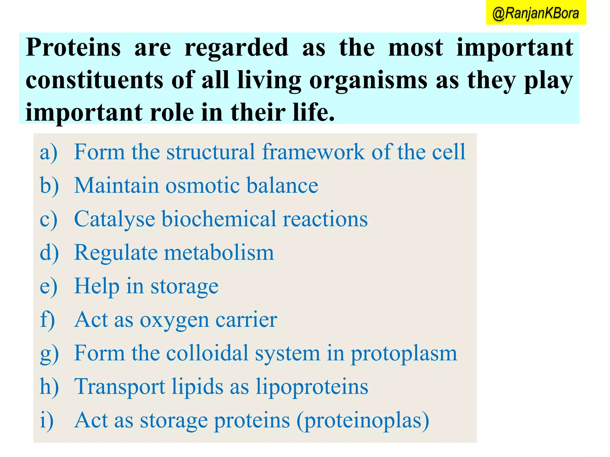 Protein metabolism | PPTX