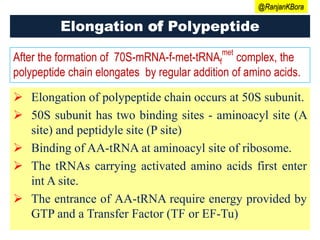 Protein metabolism | PPT