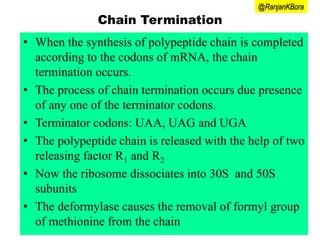 Protein metabolism | PPT