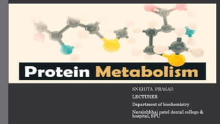 Protein metabolism... | PPTX | Chemistry | Science