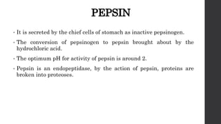 Protein metabolism... | PPTX | Chemistry | Science