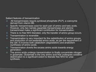 PROTEIN METABOLISM.pptx
