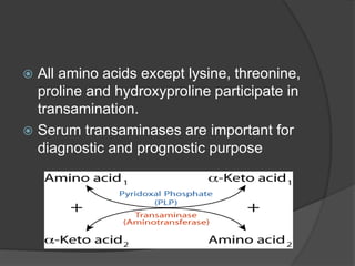 PROTEIN METABOLISM.pptx