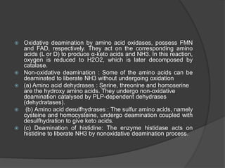 PROTEIN METABOLISM.pptx