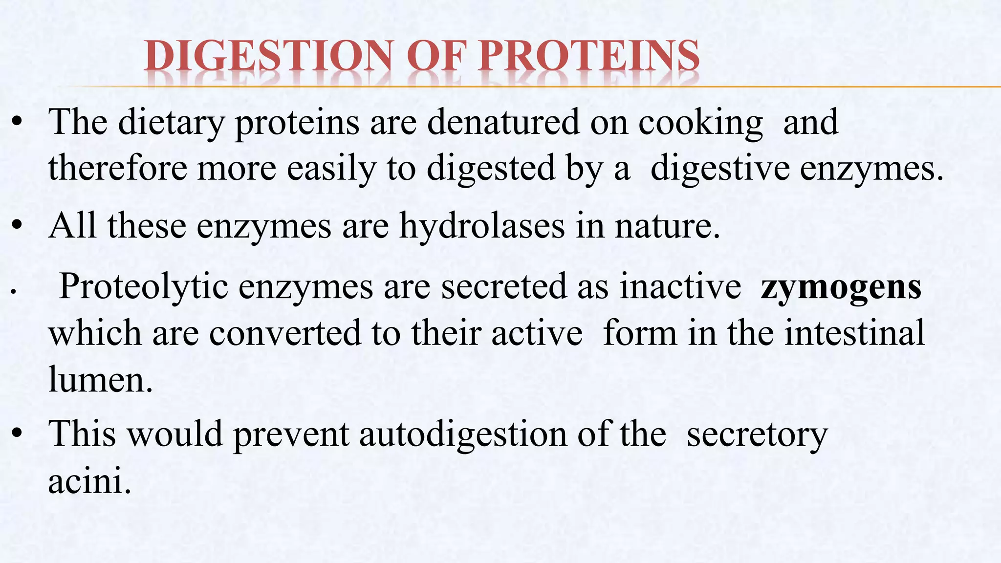 Protein metabolism.pptx