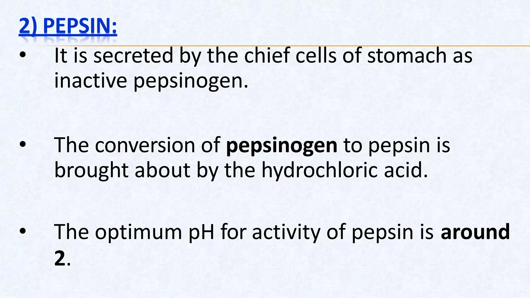 Protein metabolism.pptx