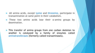 METABOLISM OF PROTEINS B.sc Generic Nursing .pptx