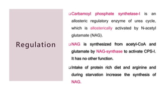 Protein and amino acids metabolism in the body | PPTX