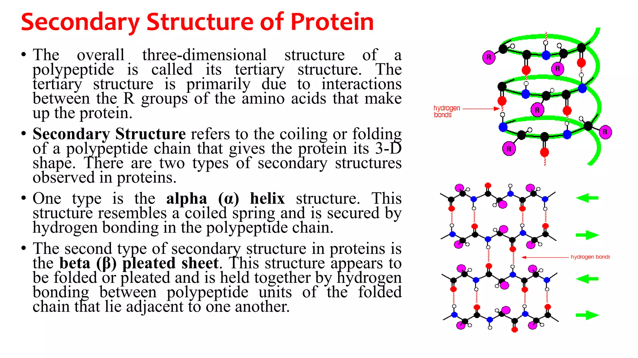 Protein metabolism and nitrogen fixation and metabolism | PPTX