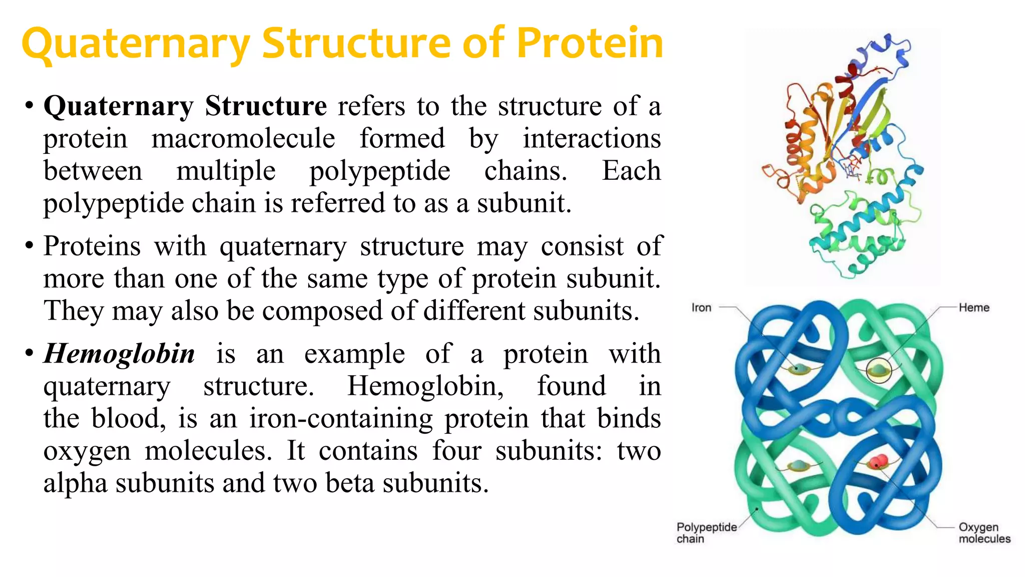 Protein metabolism and nitrogen fixation and metabolism | PPTX