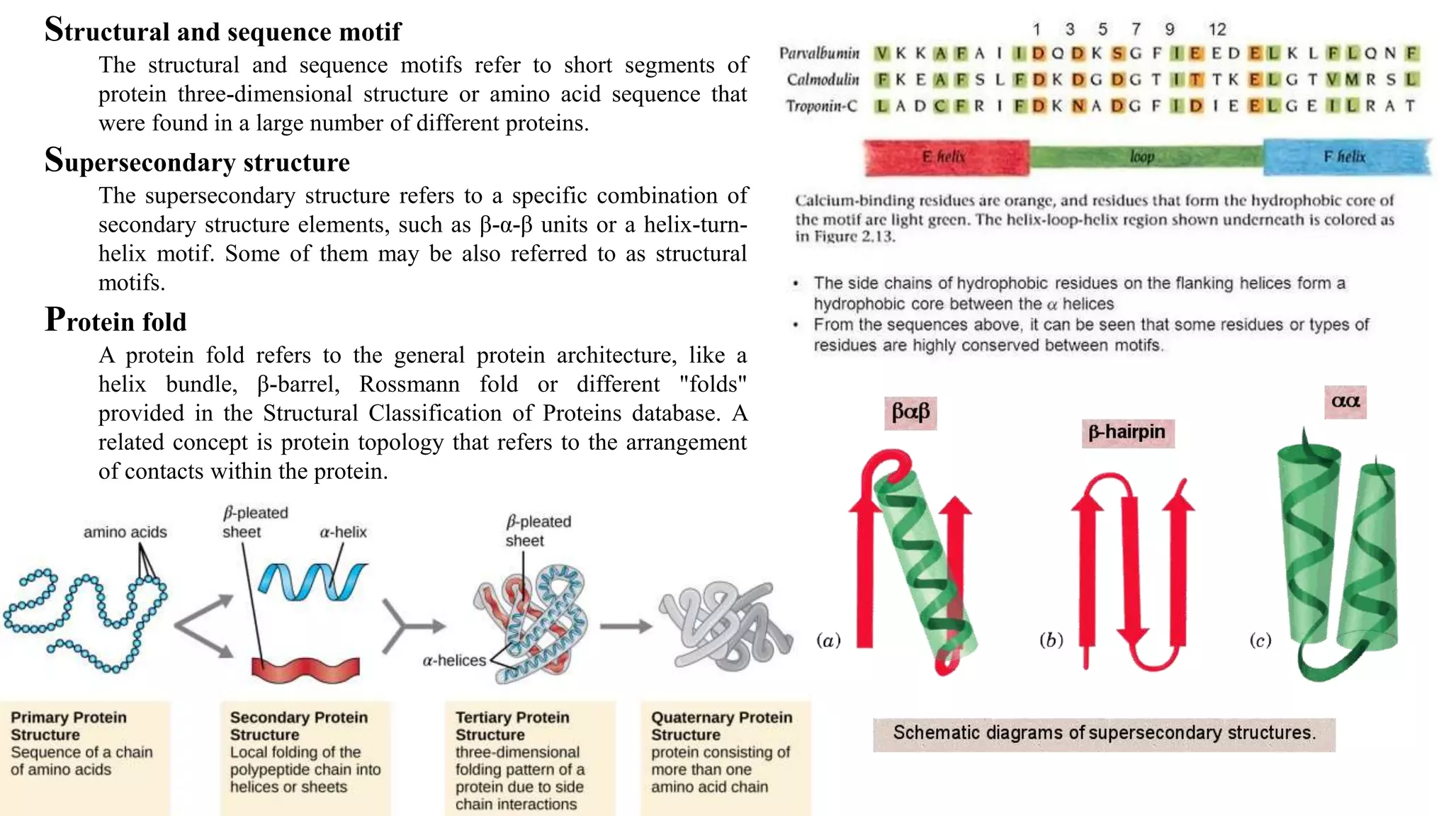 Protein metabolism and nitrogen fixation and metabolism | PPTX