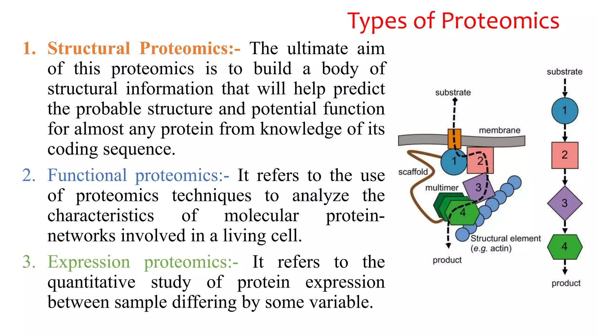 Protein metabolism and nitrogen fixation and metabolism | PPTX