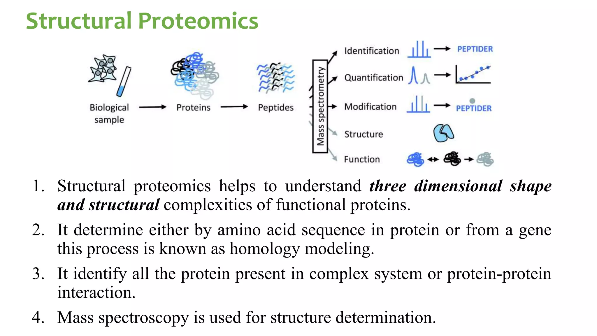 Protein metabolism and nitrogen fixation and metabolism | PPTX