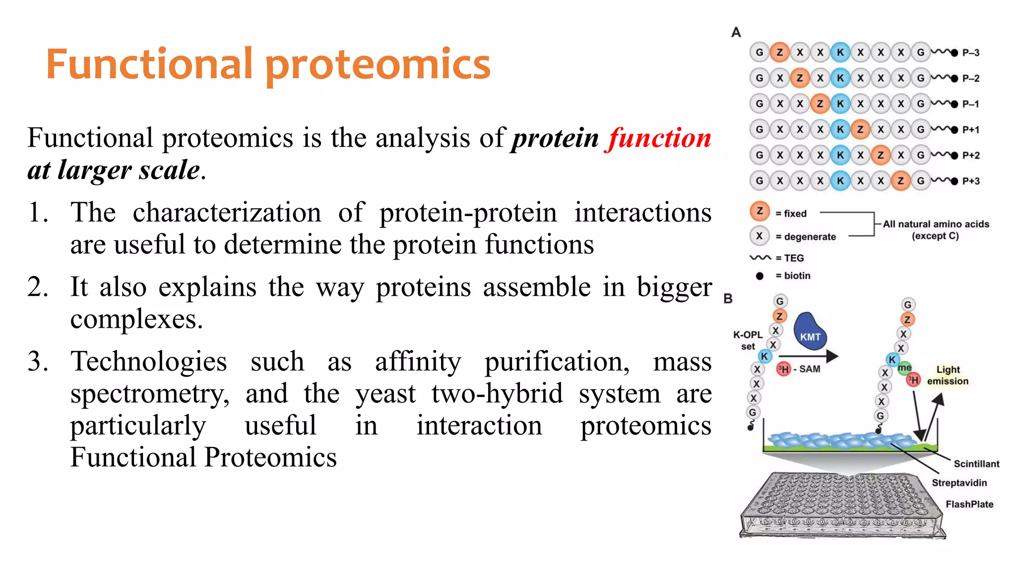 Protein metabolism and nitrogen fixation and metabolism | PPT