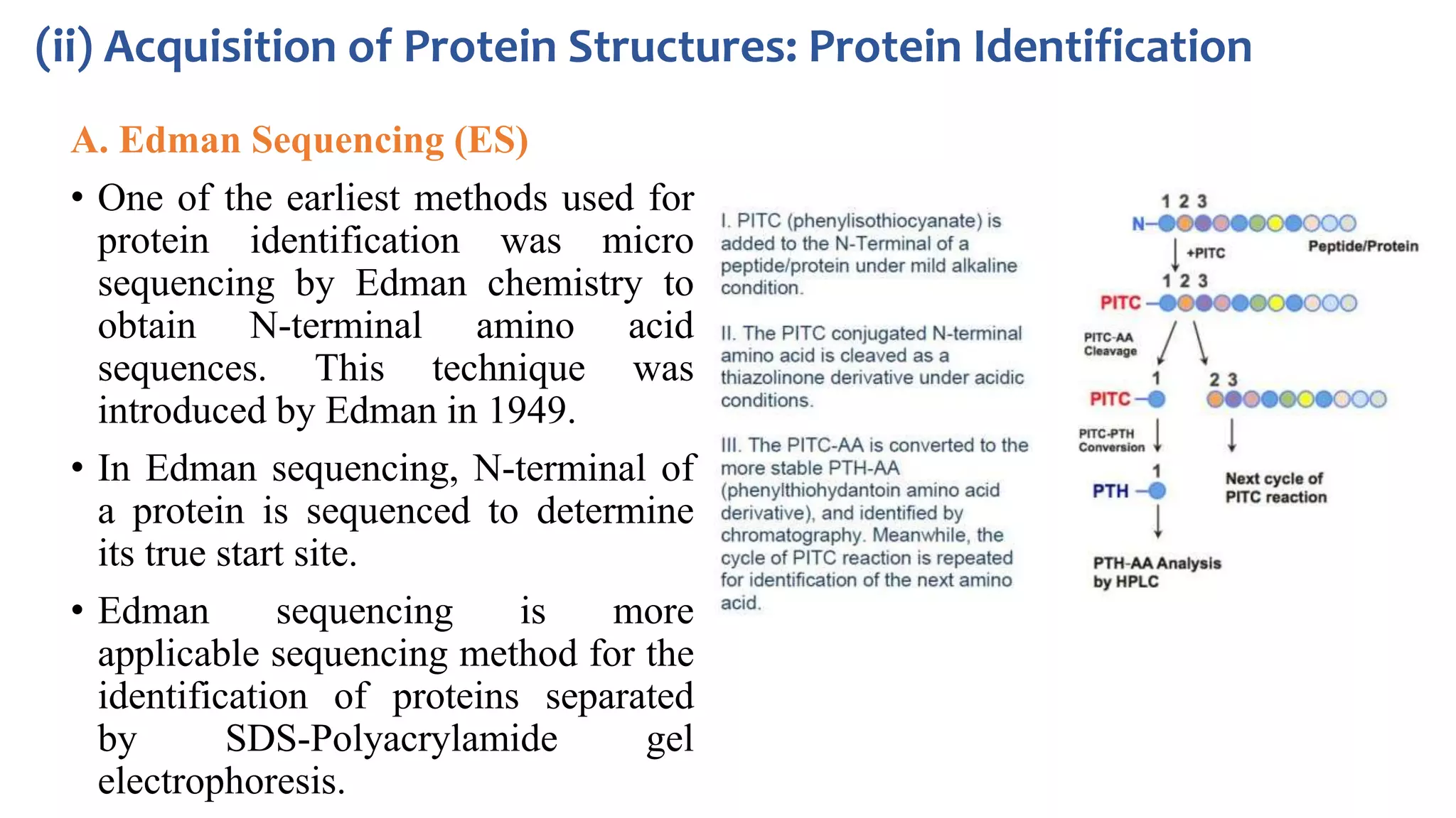 Protein metabolism and nitrogen fixation and metabolism | PPT