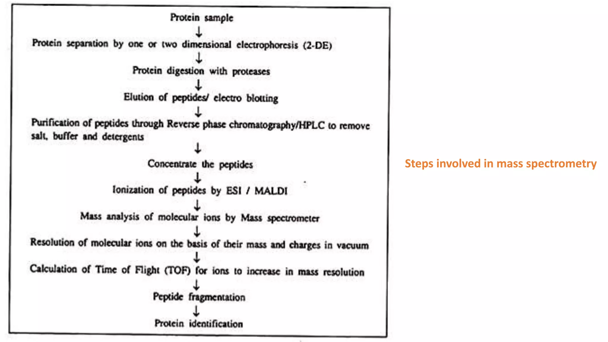 Protein metabolism and nitrogen fixation and metabolism | PPTX
