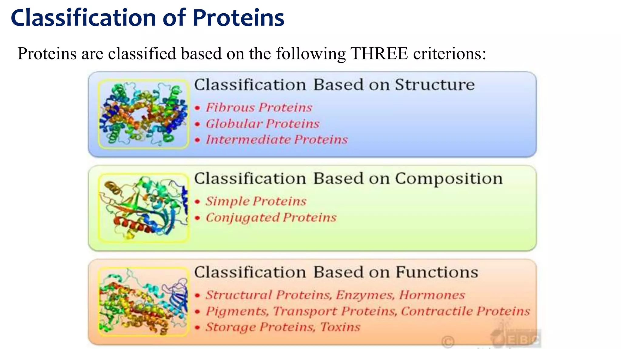 Protein metabolism and nitrogen fixation and metabolism | PPTX